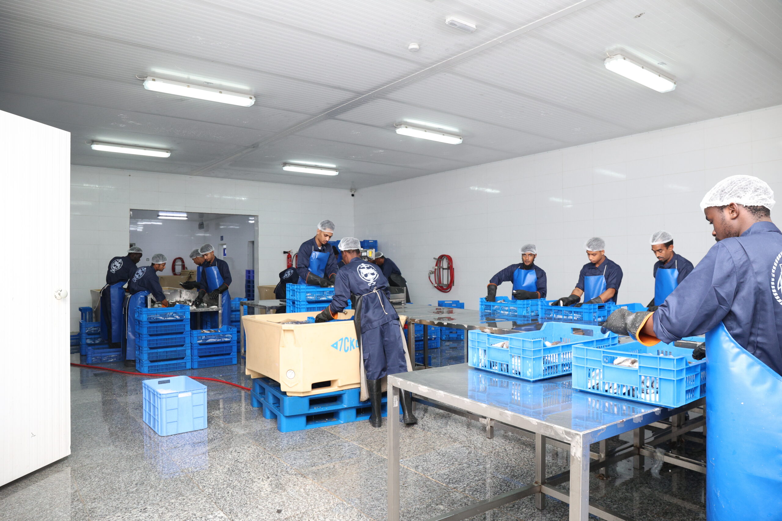 oro fisheries – ORO FISHERIES : EXPERTS IN PROCESSING AND EXPORTING PREMIUM FISHERY PRODUCTS